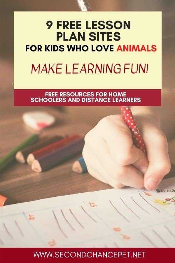 9 Free Pet-Themed Lesson Plans for Your Animal-Loving Child