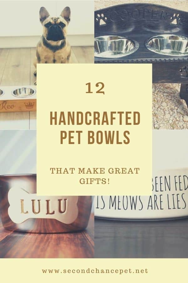 12 Best Pet Food Bowls That Are Practical and Beautiful